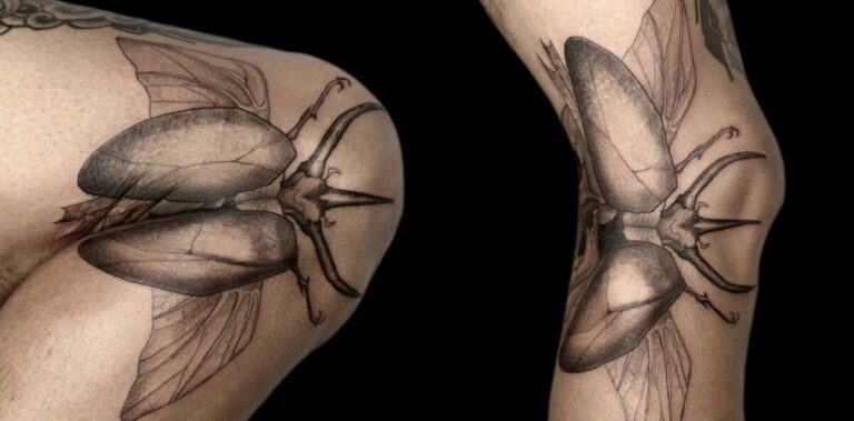 Insect Tattoo Ideas + Best Tattoo Artist for Insect Designs